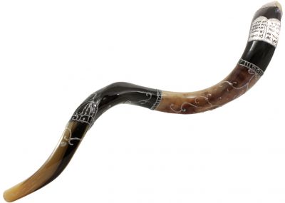 Order Today Hand Painted Huge Yemenite Shofar With Menorah and Torah Scroll