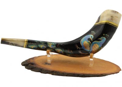 Shop For Hand-Painted Ram's Horn Shofar | Visit ProShofar.com